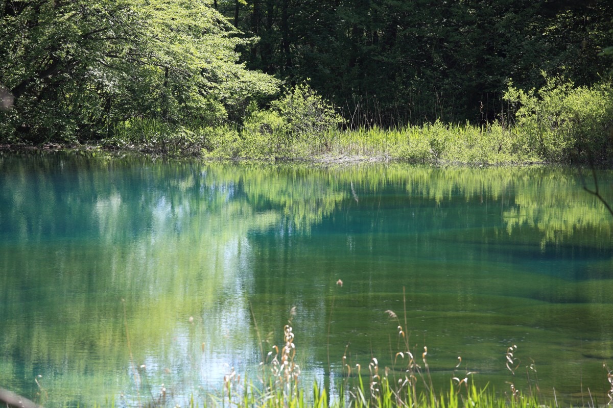 HydroForce – Indigo Specialty