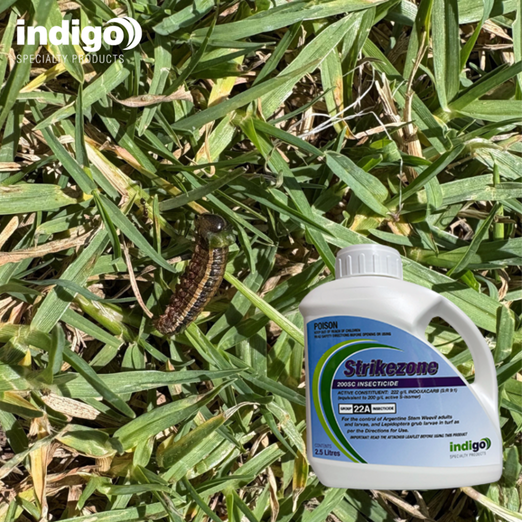 Specialist Control of Caterpillar Pests and Argentine Stem Weevil in ...